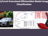 Pytorch Pretrained Efficientnet Model Image Classification