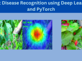 Plant Disease Recognition Using Deep Learning And Pytorch