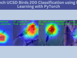 Bird Species Classification Archives Debuggercafe