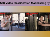 Train S3d Video Classification Model Using Pytorch
