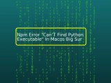 Npm Error Can T Find Python Executable In Macos Big Sur Python News