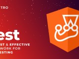 Jest The Fast And Effective Framework For Unit Testing Decentro