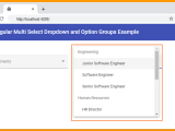 Angular 11 Multi Select Dropdown And Option Groups