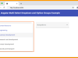 Angular 11 Multi Select Dropdown And Option Groups