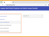 Angular 11 Multi Select Dropdown And Option Groups