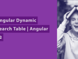Angular Dynamic Search Angular Search Box Decoded Script
