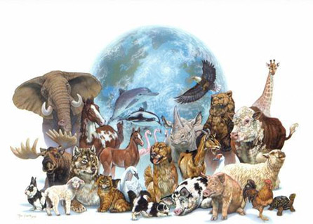 CONCEPTO TIPOLÓGICO DE ESPECIE | Hablando de Biología