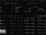 Decrypt Portfolio