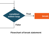 Learn The Break Statement In Java Explained In Very Simple Language