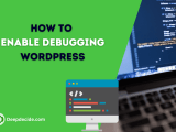 How To Enable Debugging In Wordpress