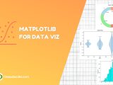 Top 12 Matplotlib Visuals Data Analysis