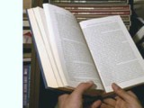 Online Bible Commentaries