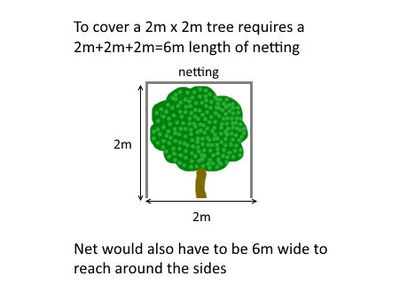 Product Review – Ryset Tree Cover Formed Insect Net – Deep Green ...