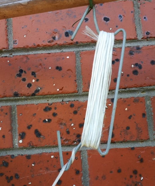 How to Prune Vining Tomatoes for Small-Space Intensive Growing – Deep ...