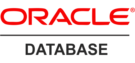 Connecting to Oracle 12g with the Instant Client and Excel VBA - Deep ...