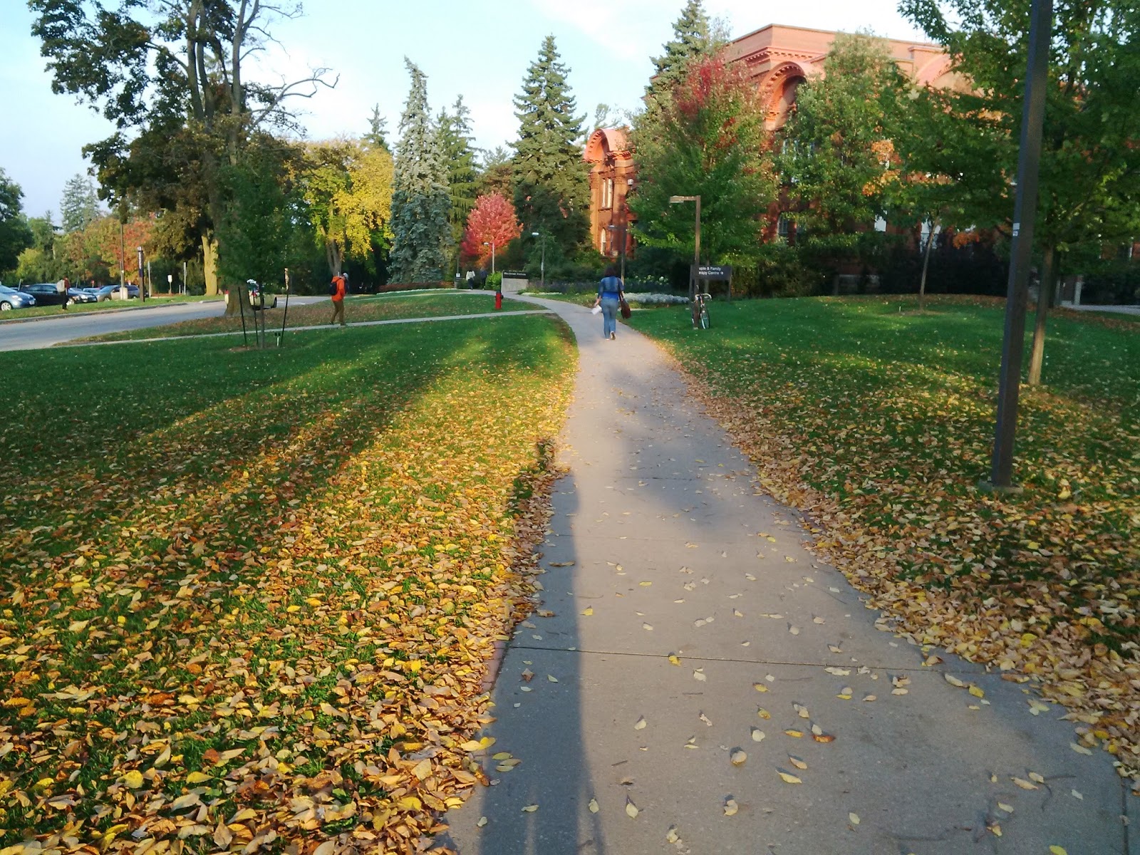 University of Guelph students put spotlight on international student ...