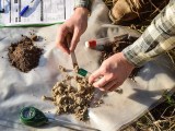 Soil Sampling Dekalb Farmers Co Op