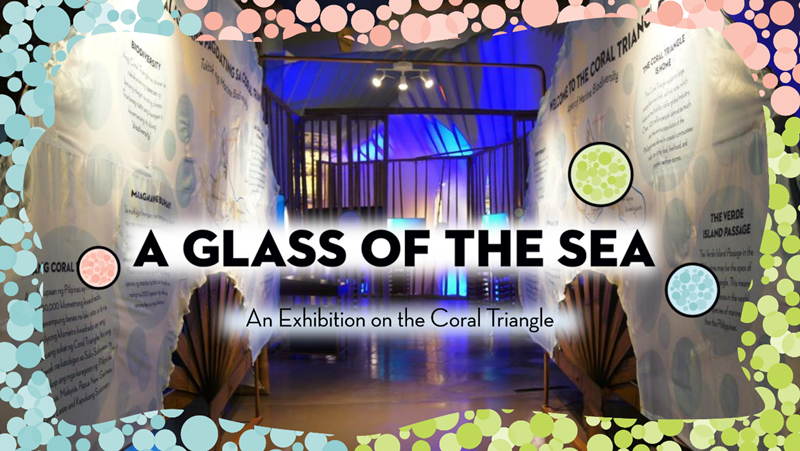 Five Reasons To Visit The Mind Museum's "A Glass Of The Sea" Exhibit ...