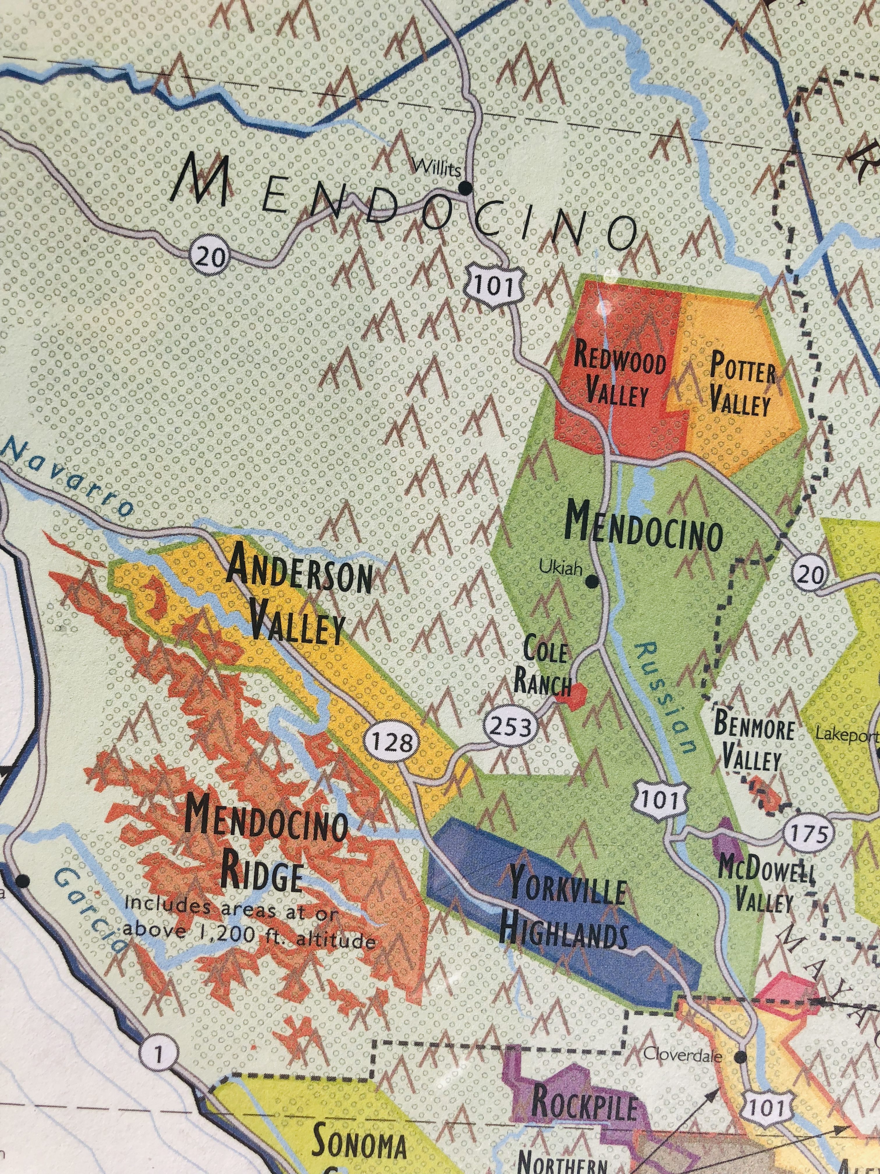 MENDOCINO Wine - Demystifying "The Vine"