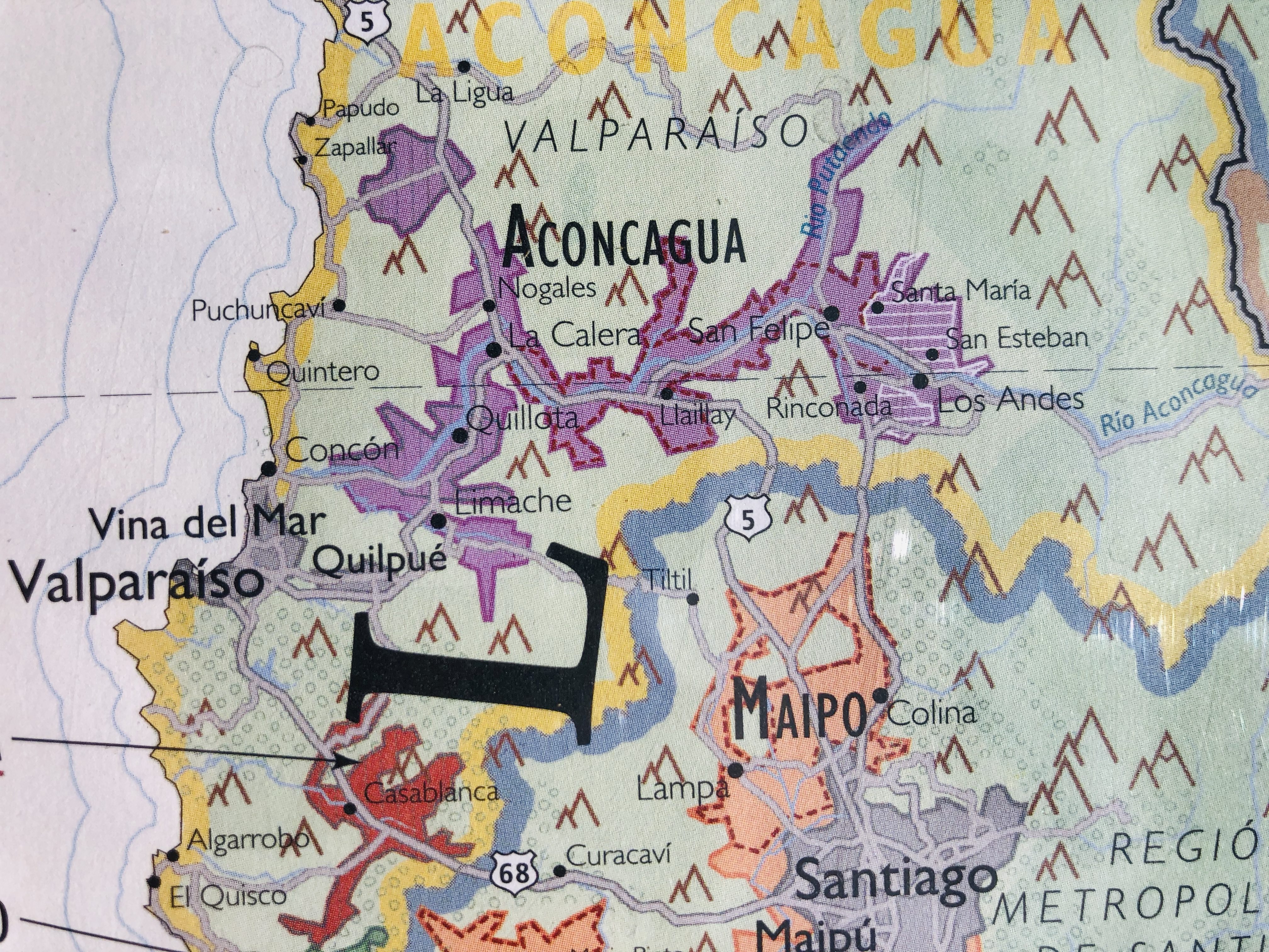 ACONCAGUA Wine - Demystifying "The Vine"