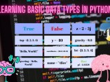 Python Basic Data Types A Comprehensive Guide Denizhalil