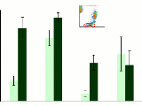 Flow Cytometry Data Analysis For Academic Research