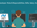 Hire Net Developer