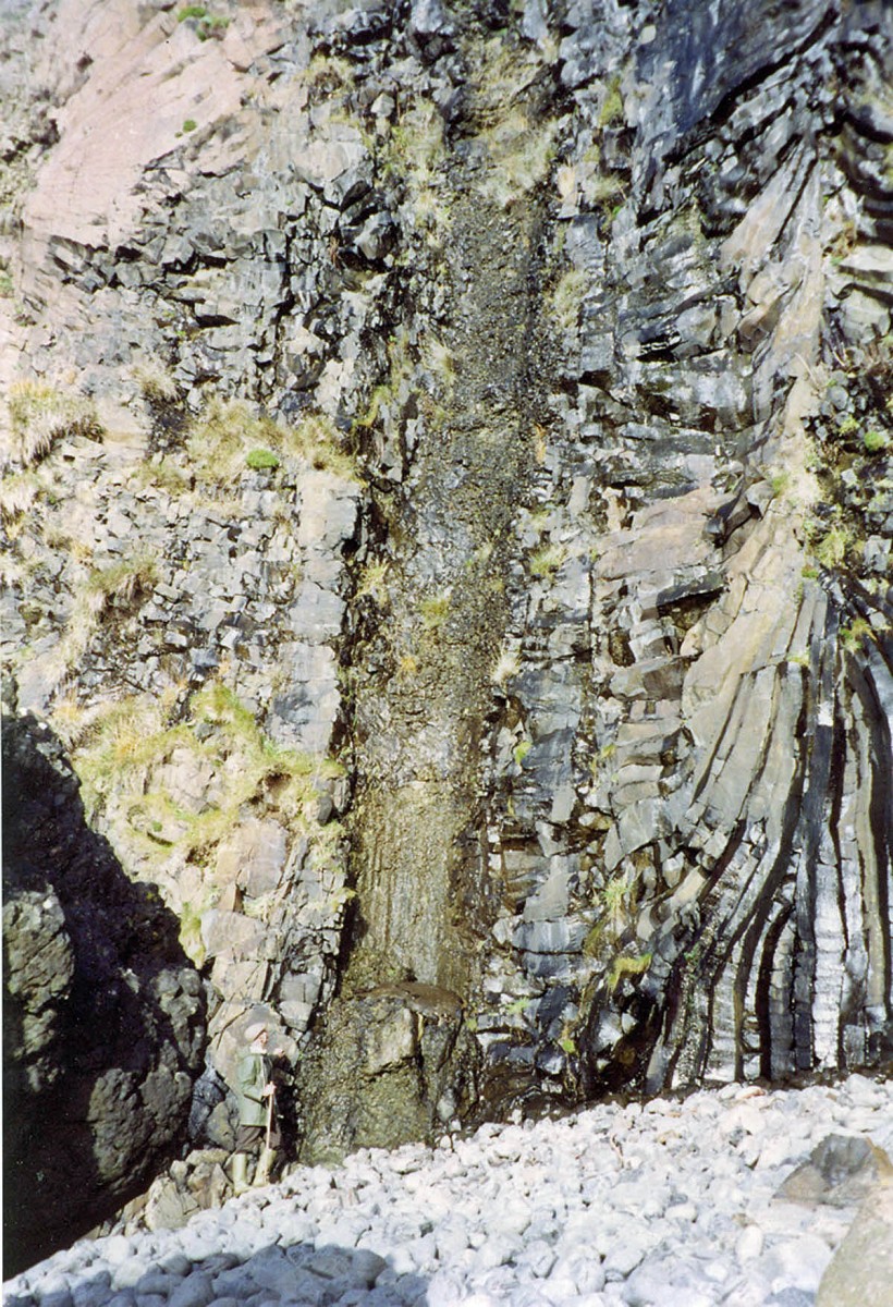 Mull’s famous fossil tree (Part 1): Chrissie and the tree – Deposits