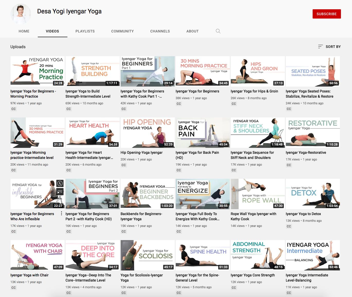 Free Resources | Iyengar Yoga Videos| Tips for Yogis