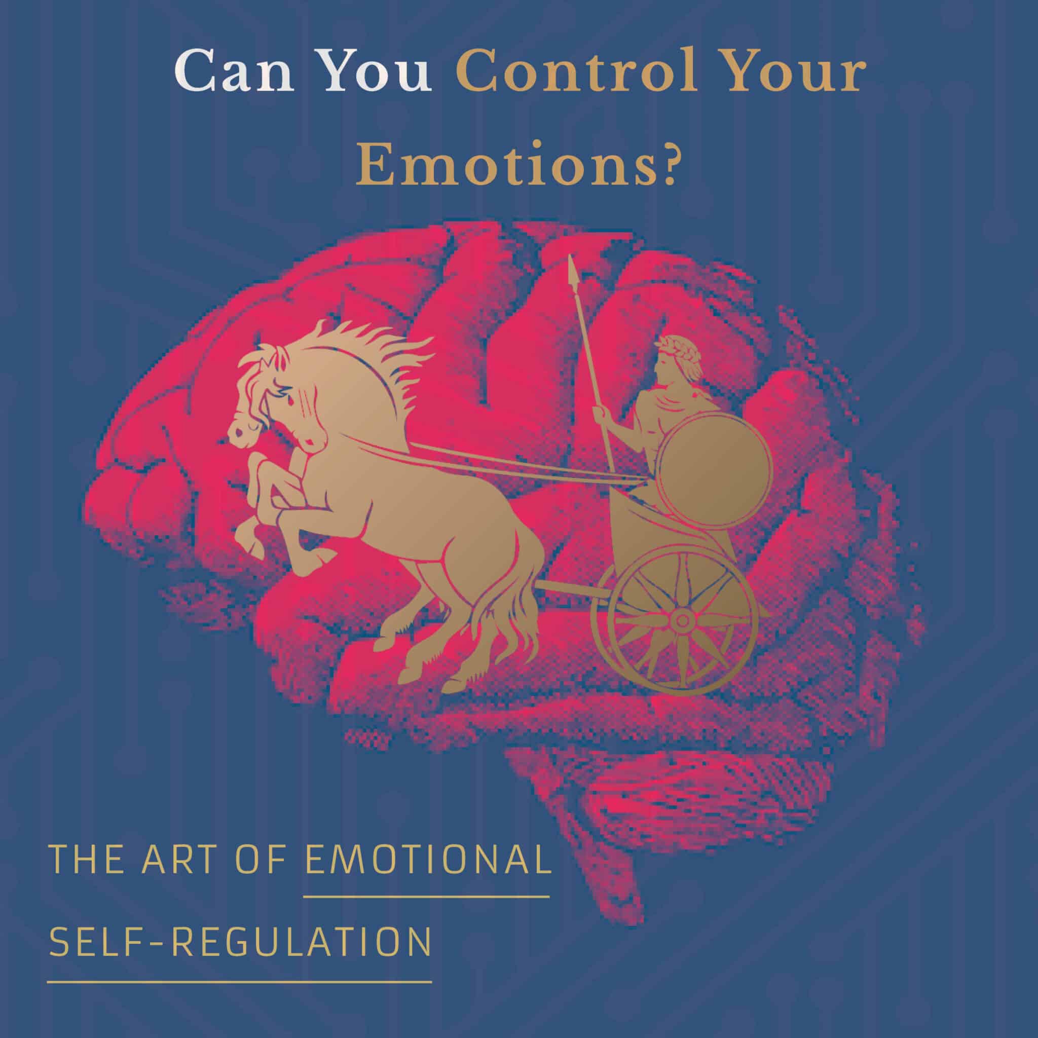 Can You Control Your Emotions The Art Of Emotional Self Regulation can-you-control-your-emotions-the-art-of-emotional-self-regulation