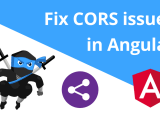 Angular Cors Guide ёяыая п Fixing Errors