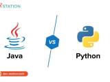 Python Vs Java 8 Key Differences For 2025 Dev Station Technology