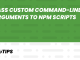 Pass Custom Command Line Arguments To Npm Scripts
