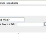 Using Html File Input Fields