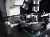 An In Depth Guide To Learning About Different Types Of Microscopes And