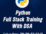 Python Full Stack Training With Dsa