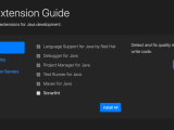 Java For Visual Studio Code Pleht