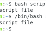 Writing Scripts On Linux Using Bash Devconnected