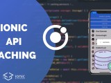 How To Cache Api Responses With Ionic Capacitor Devdactic