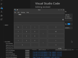 Visual Studio Code Developer