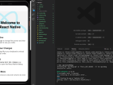 React Native On Android Studio Momsras