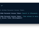 Use 1password To Authenticate The Github Cli With Biometrics