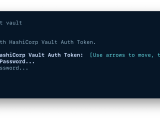 Use 1password To Authenticate The Vault Cli With Biometrics 1password