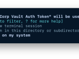 Use 1password To Authenticate The Vault Cli With Biometrics 1password