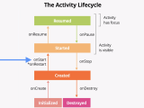 Stages Of The Activity Lifecycle Android Developers