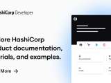 Hashicorp Developer