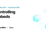 Controlling Embeds With The Sdk S Vm Interface Stackblitz Docs