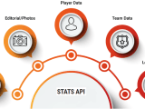 Stats Api Developer Portal Home