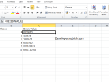 How To Use Hex2bin In Excel Developer Publish