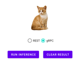 Create An Android App To Detect Objects Within Images Google For